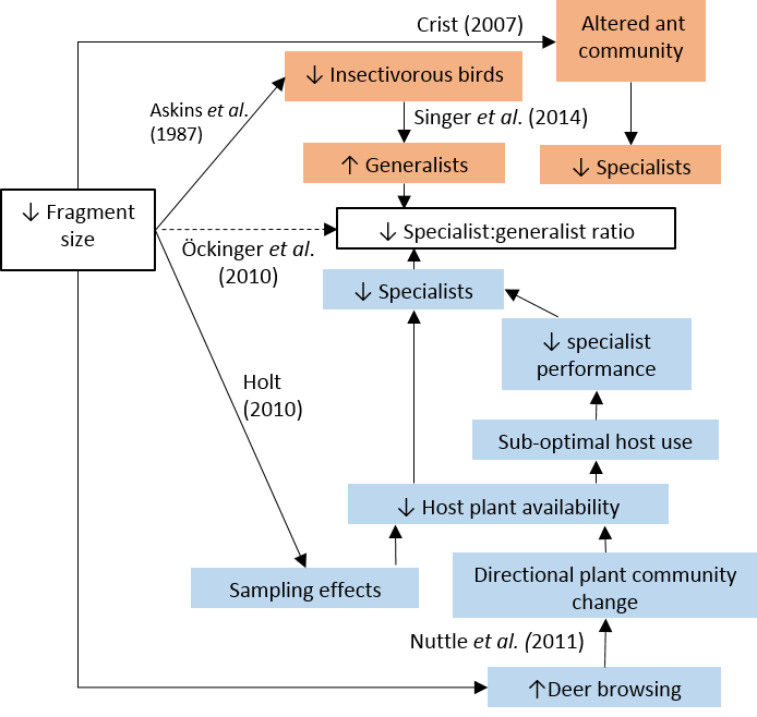 Fragmented Ecological Networks | Forests Facing Environmental Change